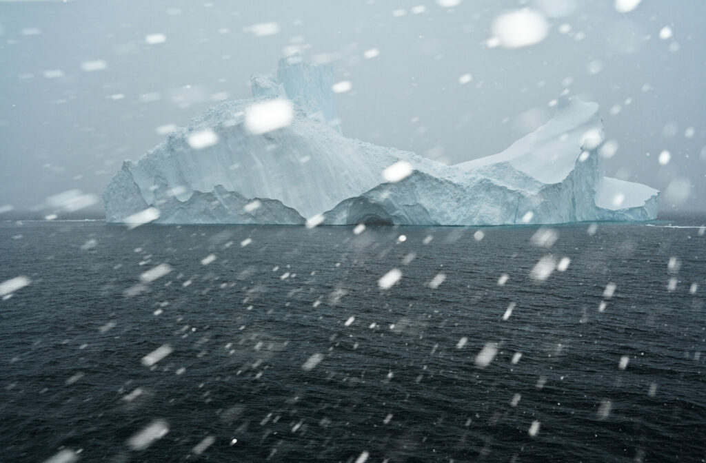 GREENLAND – ARCTIC AUTUMN COLOURS - Vega Expeditions